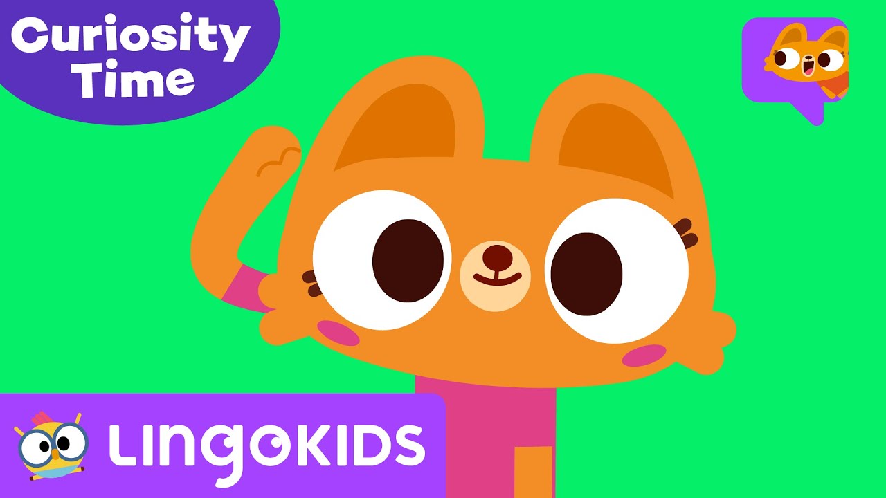 SIGN LANGUAGE for KIDS 🤚👌| Curiosity Coach by Lingokids - YouTube