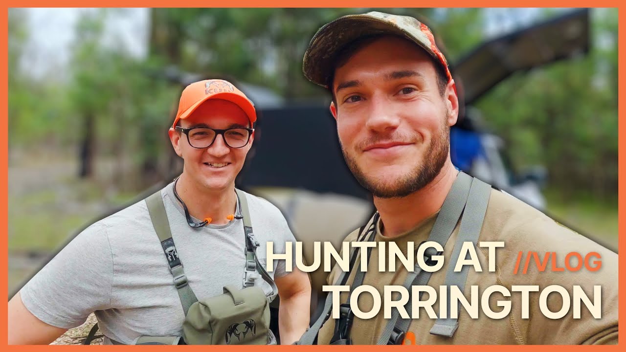 Hunting Torrington State Forest – Pigs, Deer Sign & New Ground Explored ...