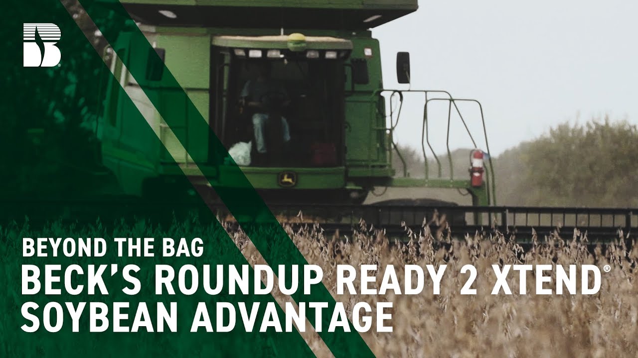 Beck's Roundup Ready 2 Xtend® Soybean Advantage | Beck’s Beyond the Bag ...
