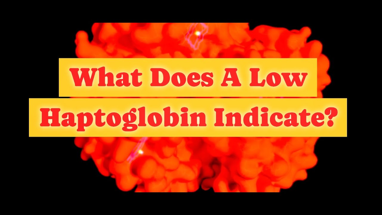 What Does Low Haptoglobin Indicate? - YouTube