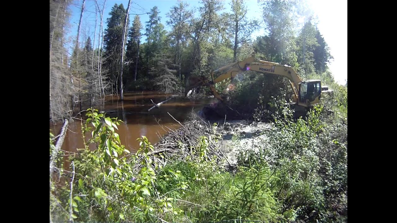 Komatsu breaking a beaver dam - YouTube