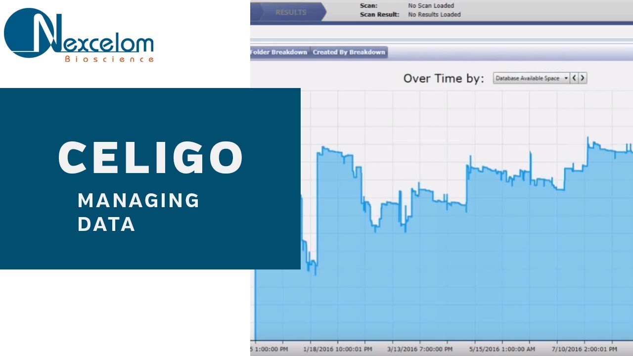 How to Better Manage Your Data on Celigo - YouTube