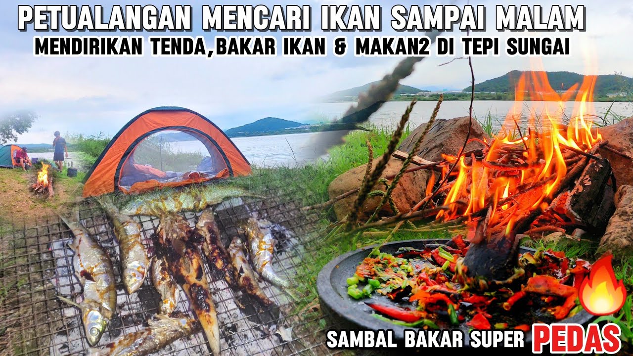 PETUALANGAN MENCARI IKAN SAMPAI MALAM!! MENDIRIKAN TENDA,BAKAR IKAN DAN ...