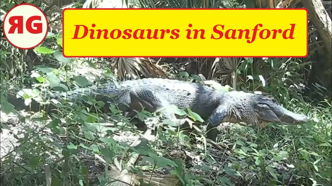 Dinosaurs In Florida !!! Lots of gators. - YouTube