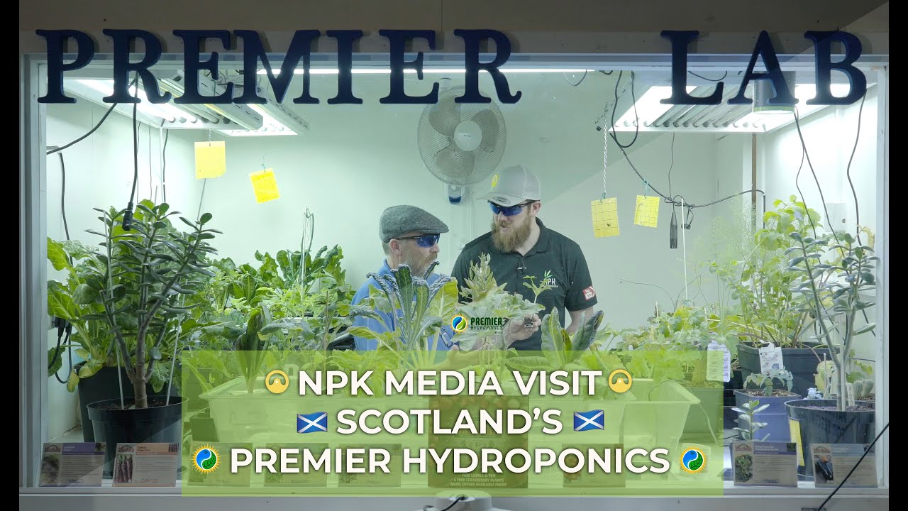 NPK Media visits Scotland's Premier Hydroponics - YouTube