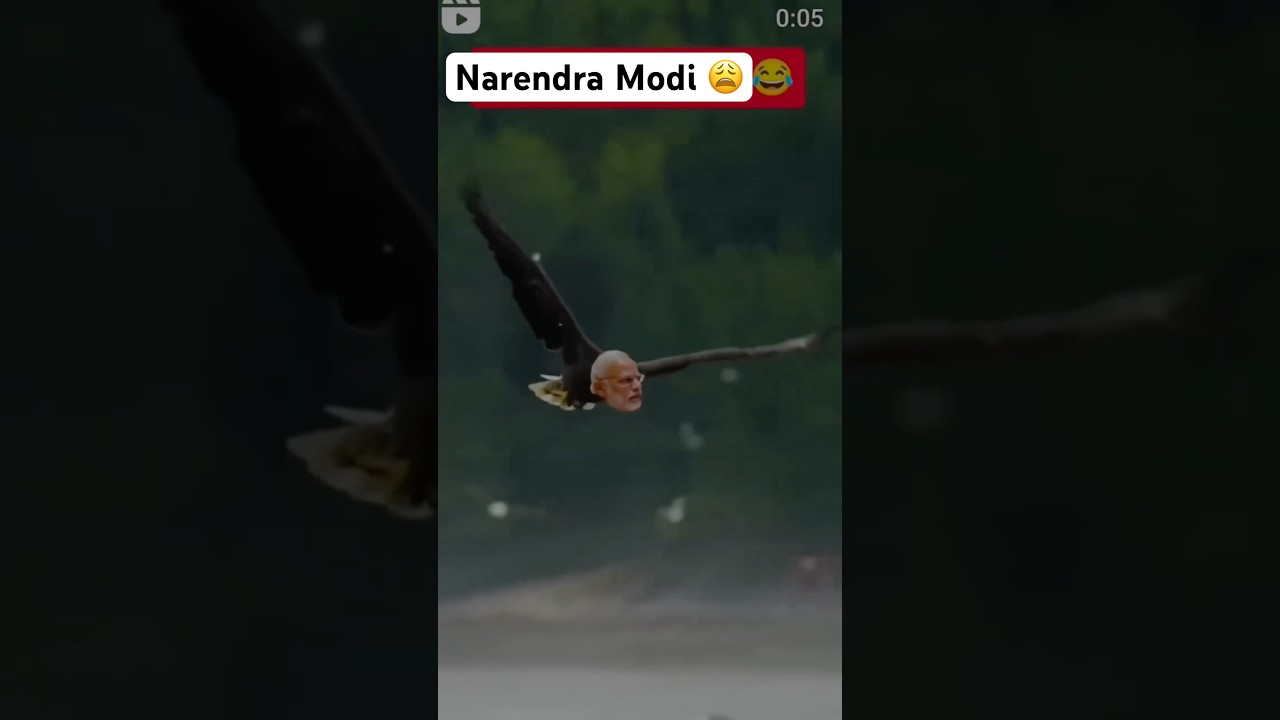 Narendra Modi 🦅 bird #comedy #funny #narendramodi - YouTube