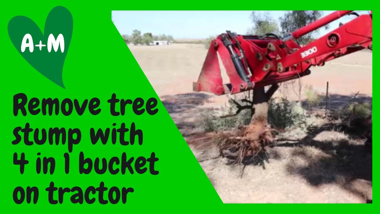 Remove a tree stump with 4 in 1 bucket on tractor frontend loader - YouTube