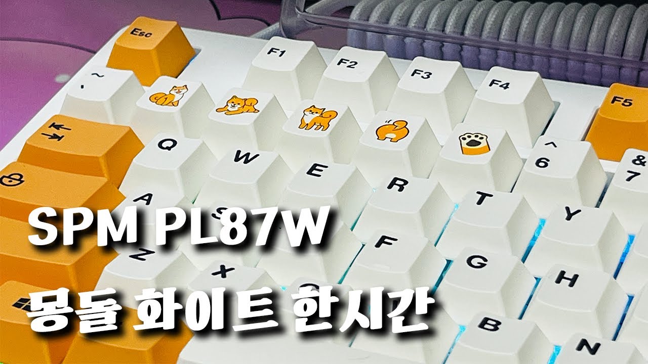 ASMR | SPM PL87W 몽돌 화이트 | 투표 1위 몽돌 한시간 루프 #asmr #keyboard #keycaps # ...