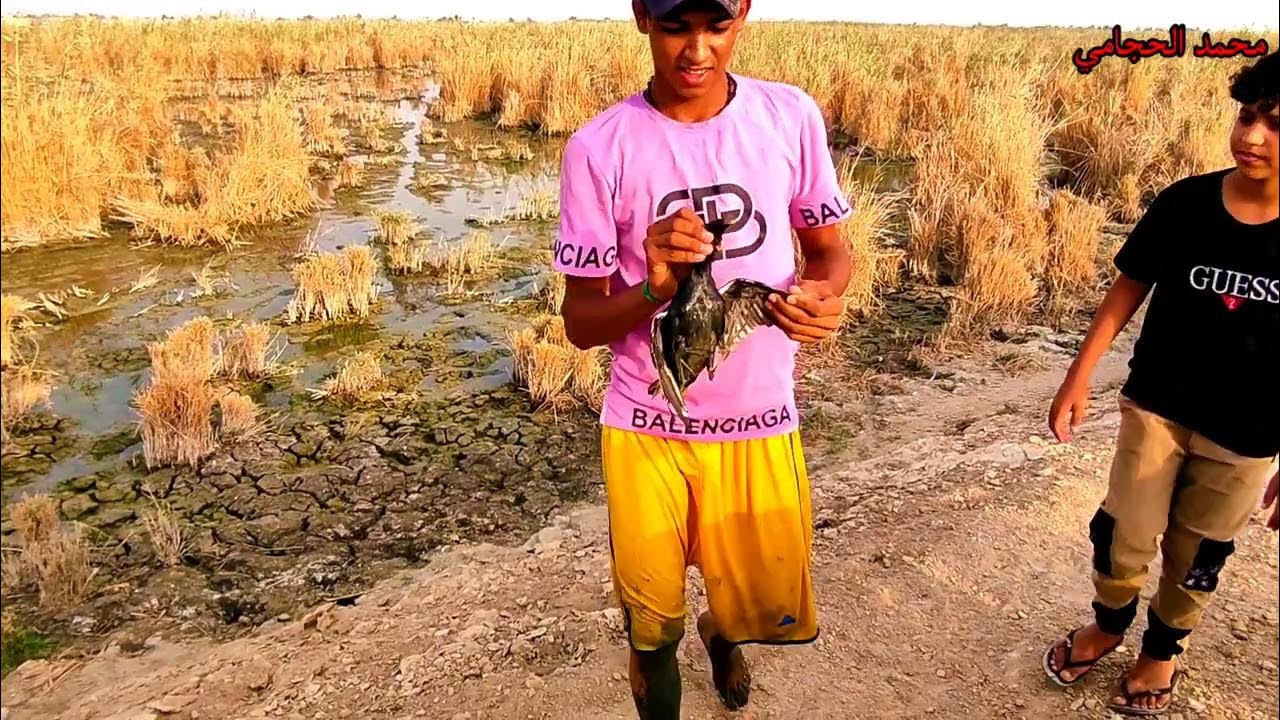 رحلة صيد الطائر البرهان والصيومي - YouTube