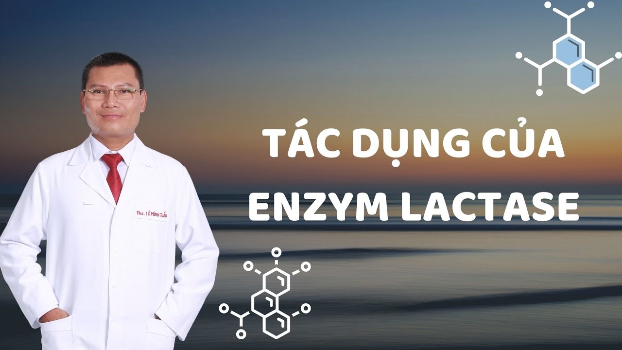 TÁC DỤNG CỦA ENZYM LACTASE, BỔ SUNG ENZYM LACTASE NHƯ THẾ NÀO CHO TRẺ ...