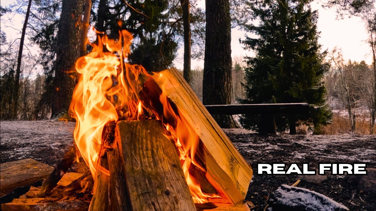 Real crackling fire in winter forest (15 MIN) - YouTube