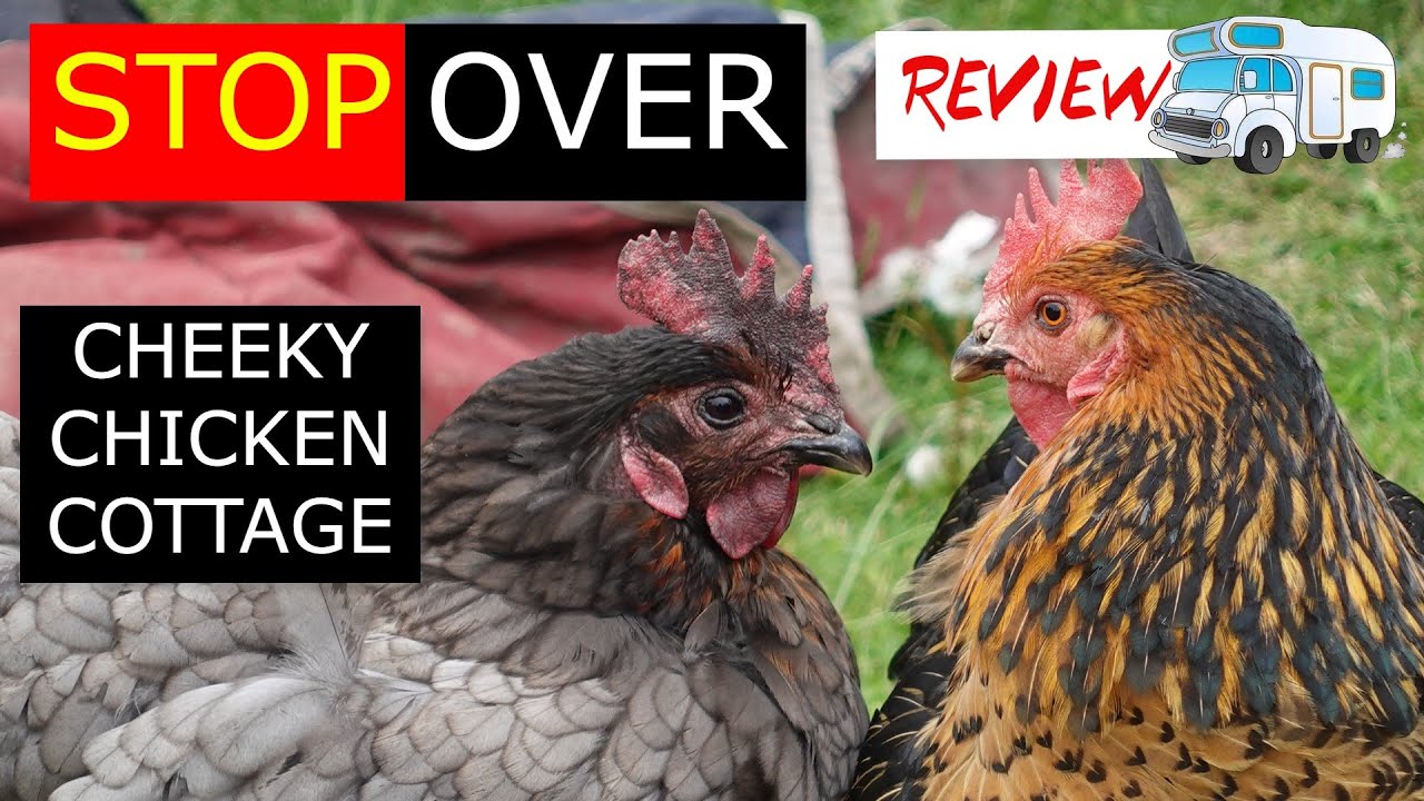Motorhome Happiness Visit Review - The Cheeky Chicken Cottage, YORK ...