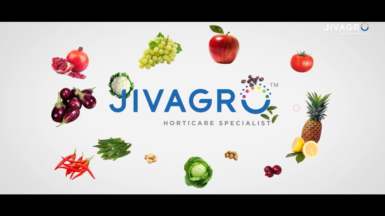 Jivagro Bengali Corporate Video - YouTube