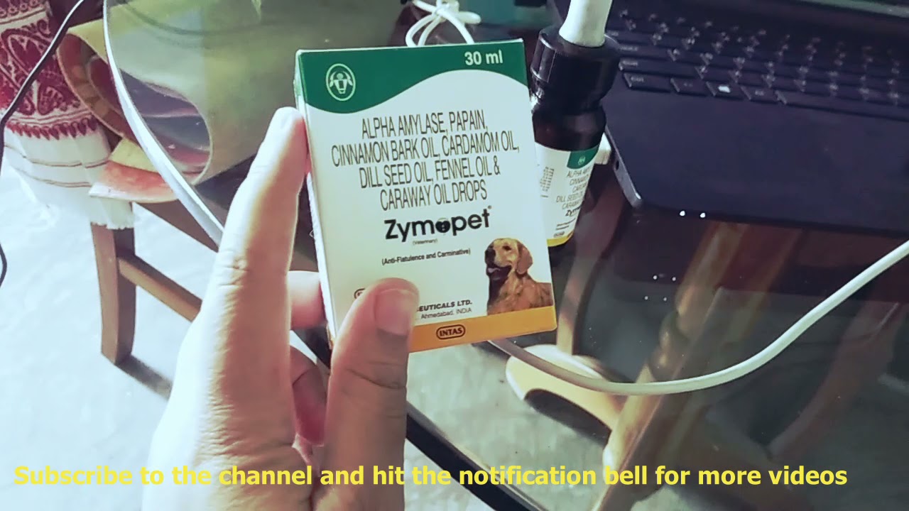 Zymopet for puppies | Dogs gas problem solved | Dr Pallabi's Pet Care ...