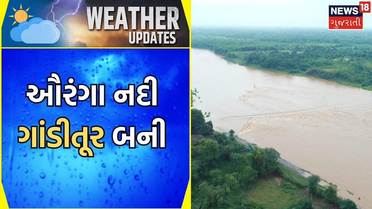 Navsari Rain Update : ચાર લો લેવલ બ્રિજ પાણીમાં ગરકાવ | Heavy Rain ...