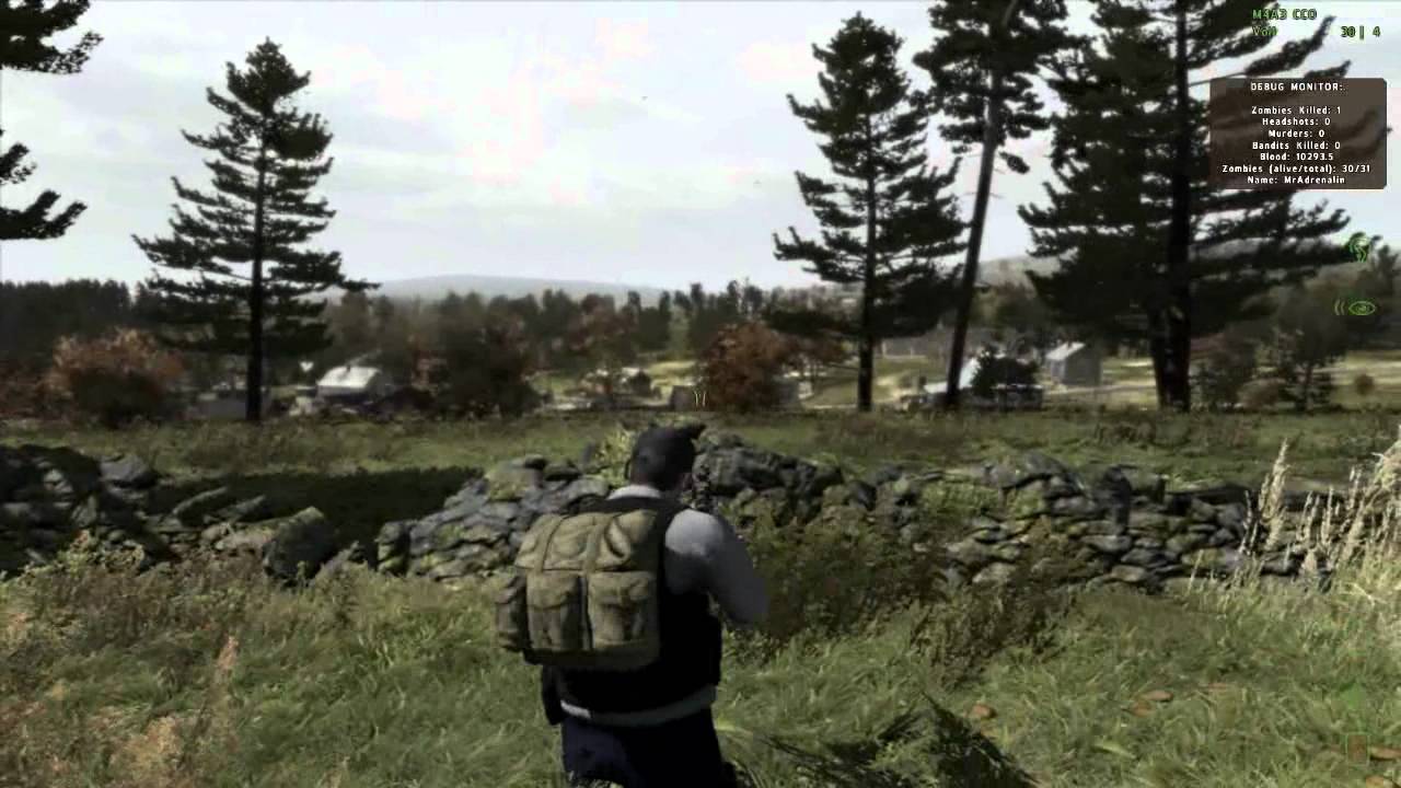 Erstes mal DayZ - Kommt mal klar - YouTube