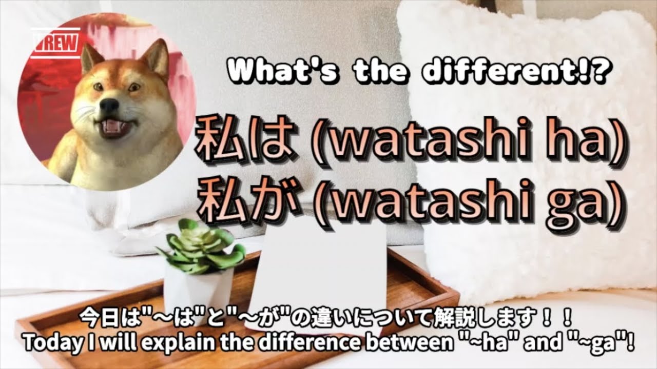 What the difference "〜は(ha)" and "〜が(ga)" !? Japanese Particles: The ...