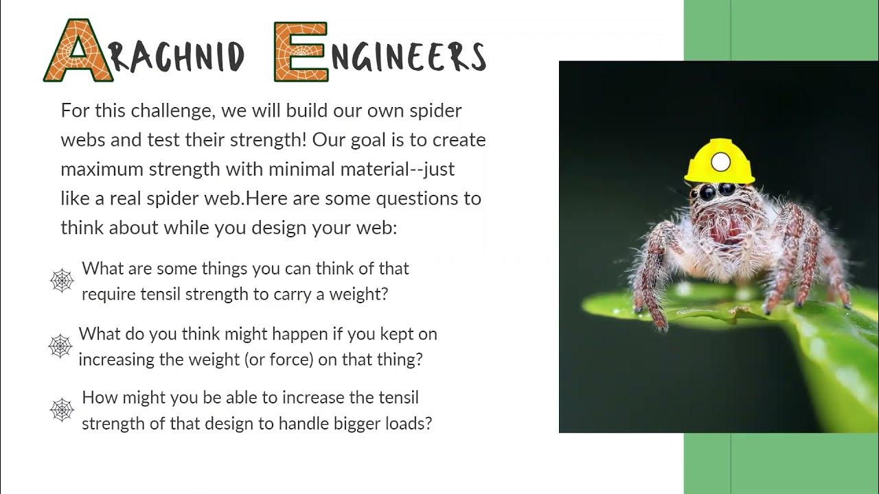 Storytime STEM Spiderweb Challenge - YouTube