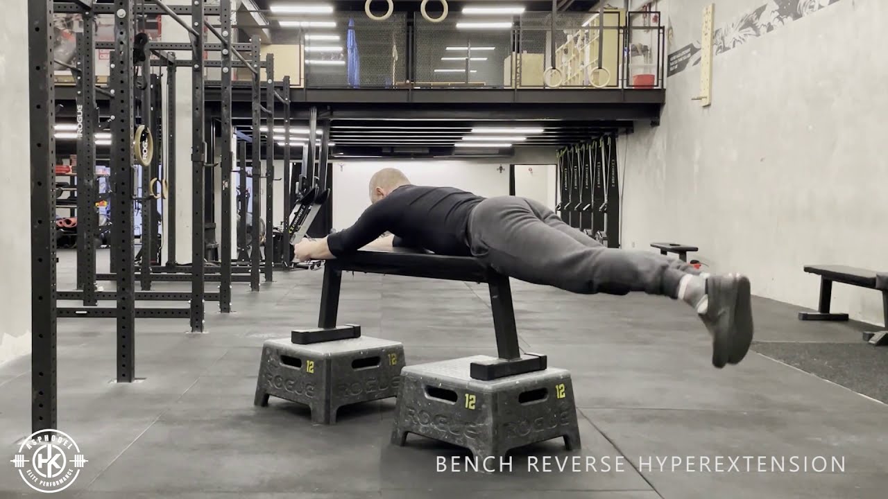 Bench Reverse Hyperextension - YouTube