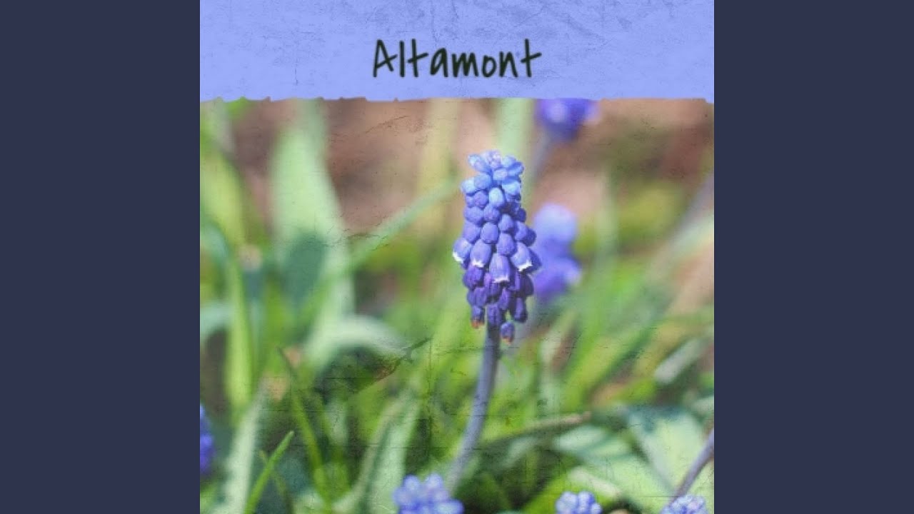 Teardrops Falling In The Snow - YouTube