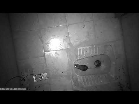 Fare yakalama bölüm 2 fare çok iyi profosyonel