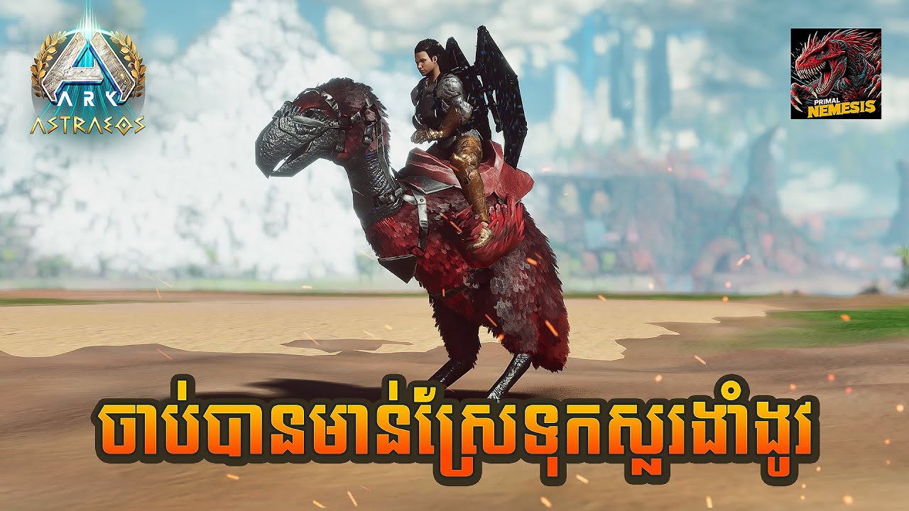 ខ្ញុំចាប់បានមាន់ស្រែសមត្ថភាពមិនធម្មតាមែន ARK SURVIVAL ASCENDED PRIMAL ...