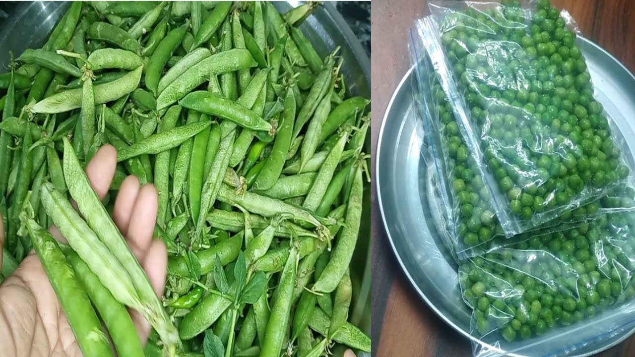हरे मटर को स्टोर करने का बहुत ही आसान तरीका | How To Store Green Peas ...