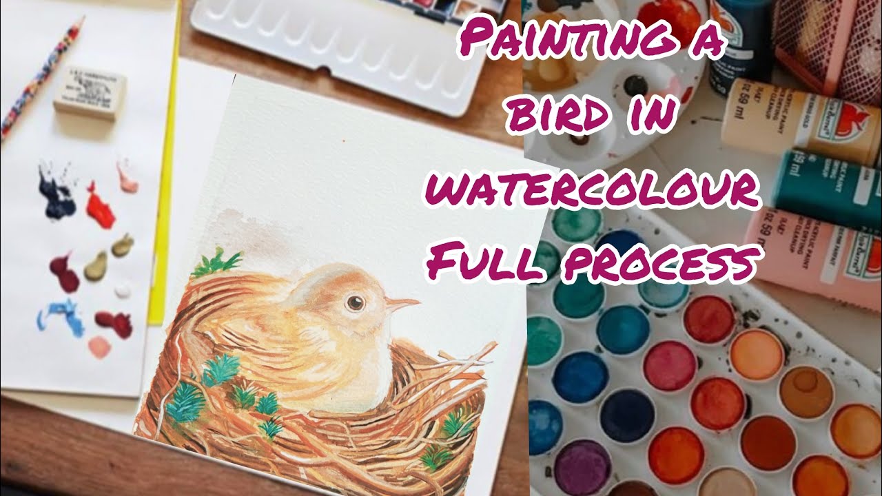 Simple watercolour bird || speed drawing Timelapse - YouTube