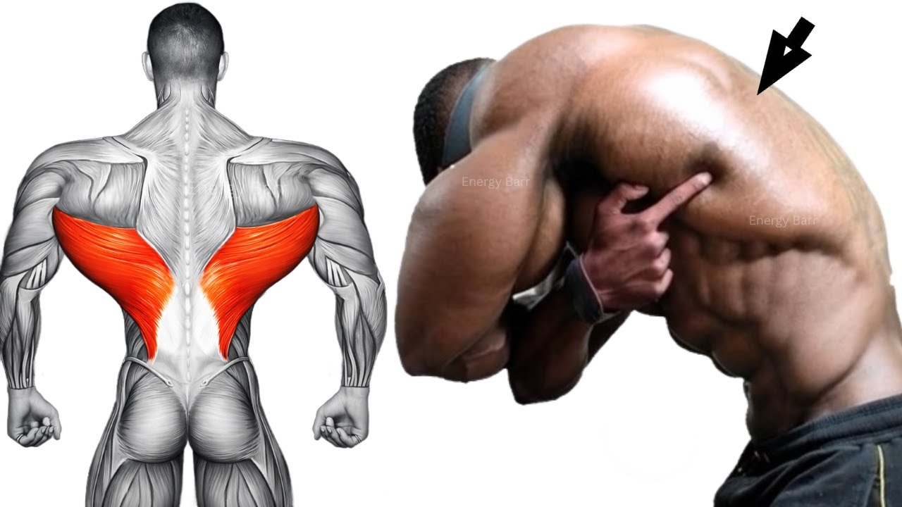 Best Wings Workout to Get WIDE BACK (Lats Workout) - YouTube