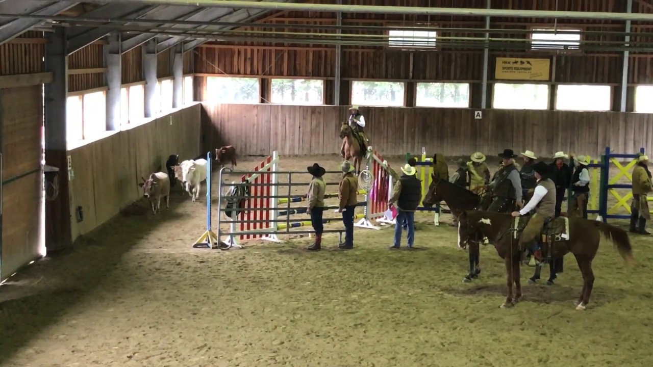 Ranch Roping Competition 2016 in Feldkirchen, Kärnten - Vaquero ...