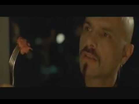 Ignorance is Bliss Scene from the Matrix - YouTube