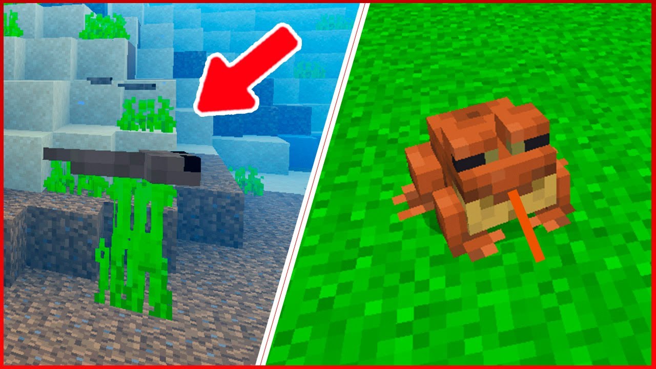 Novo ADDON de sapo e itens da nova atualização do Minecraft 1.19 - YouTube