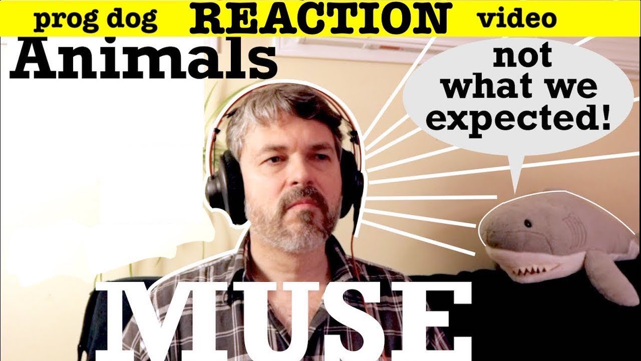 Muse "Animals" (reaction episode 57) - YouTube