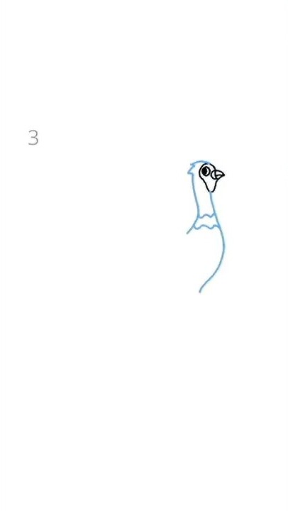 How To Draw A Pheasant Step By Step | Tip of pencil | - YouTube