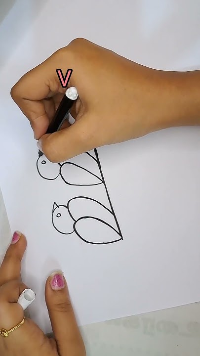 How to draw birds | How to draw 22 birds | easy drawing for kids | for ...