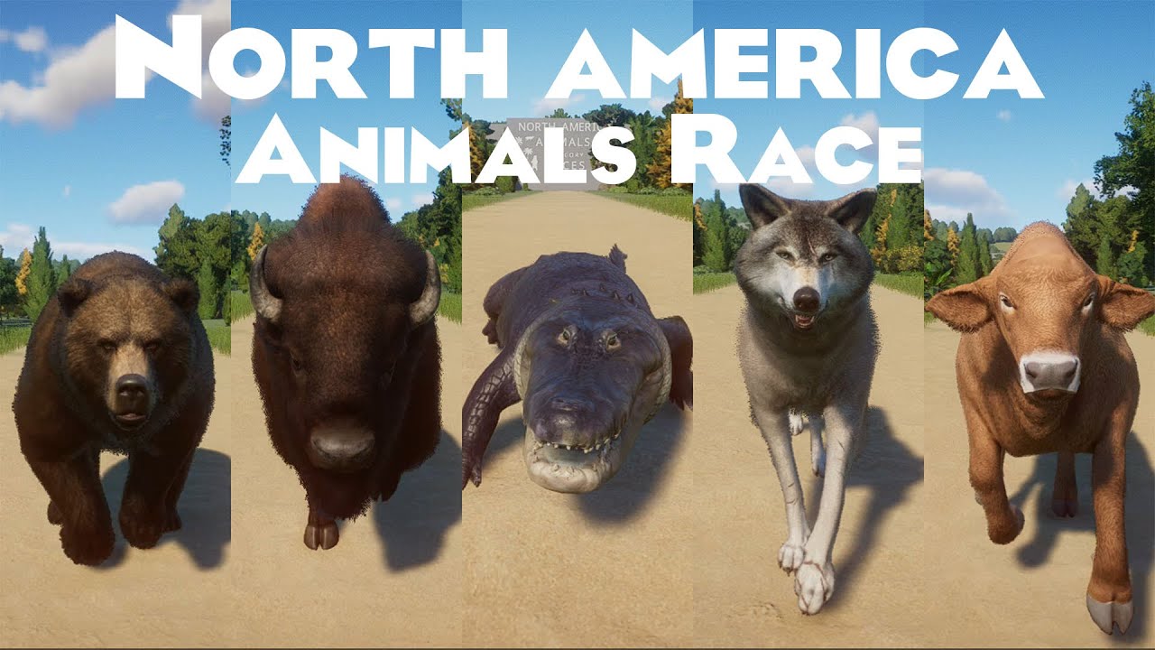 North America Animals Speed Races in Planet Zoo included Holstein Cow ...