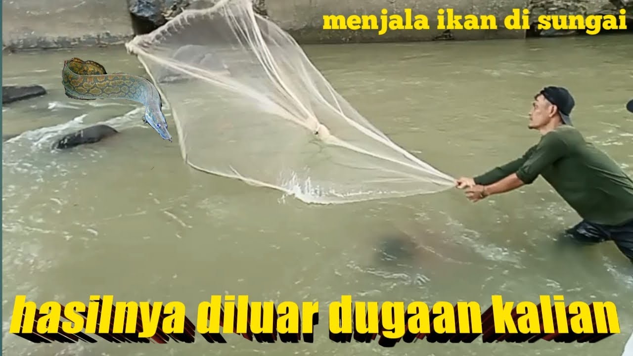 Menjala ikan di sungai.hasilnya di luar dugaan kalian - YouTube