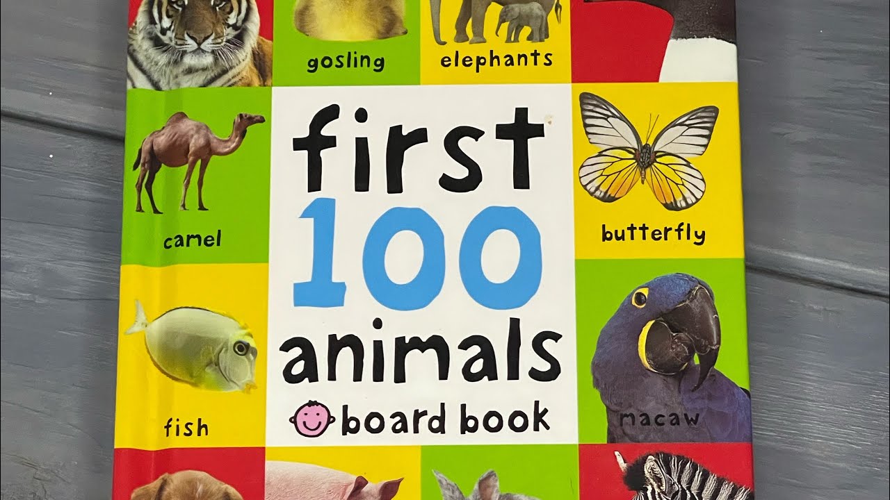 First 100 Animals - YouTube