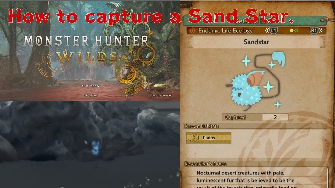 【MHWilds】Monster Hunter Wilds Capture a Sand Star！ Very easy！ - YouTube