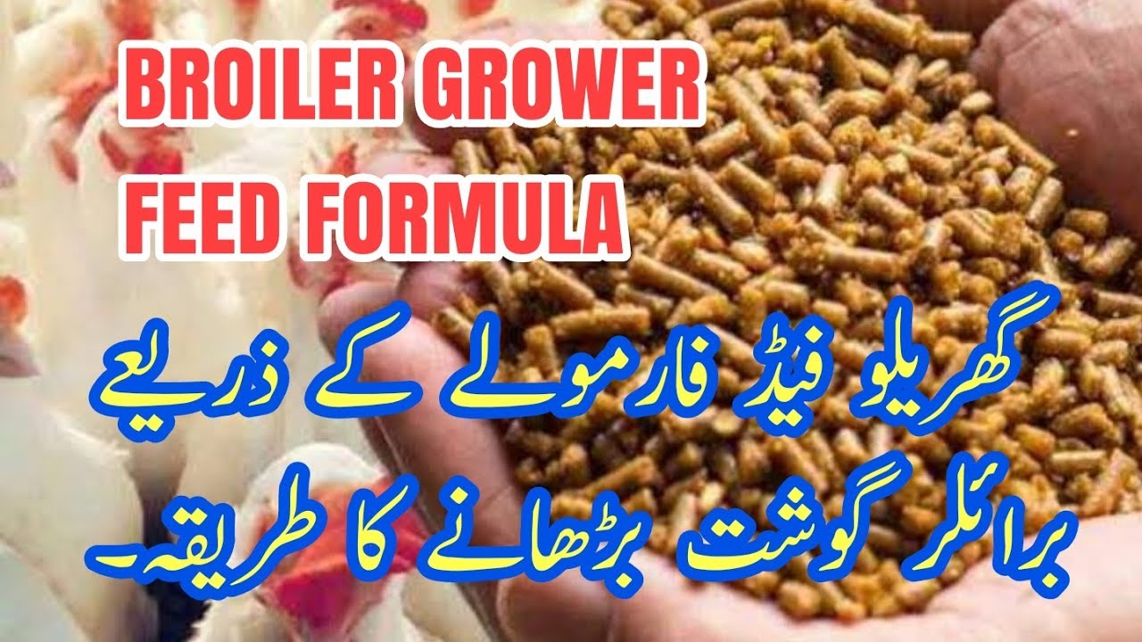 BROILER GROWER FEED 21 CP BROILER FEED FORMULA 100KG FEED broiler-grower-feed-21-cp-broiler-feed-formula-100kg-feed