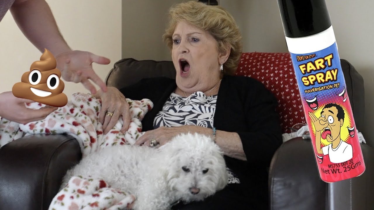 Dog Poop on Grandma Prank! - YouTube