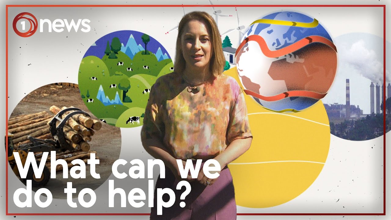 Changes we can all make to help climate change | 1News - YouTube