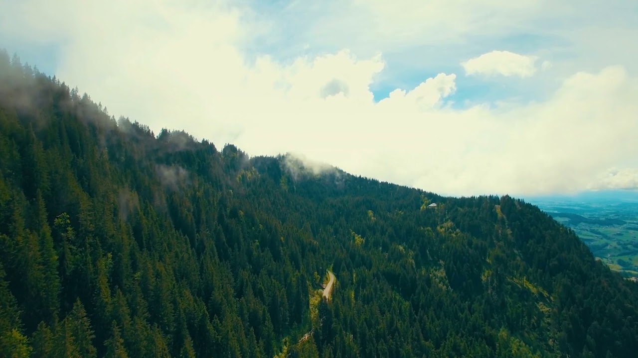Cinematic drone Forest scene 4k - YouTube