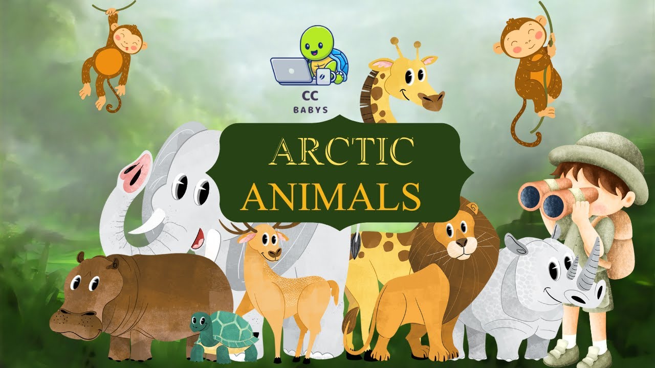 CC Babys - Teaching Early Language for Kids - Animals - Arctic Animals ...
