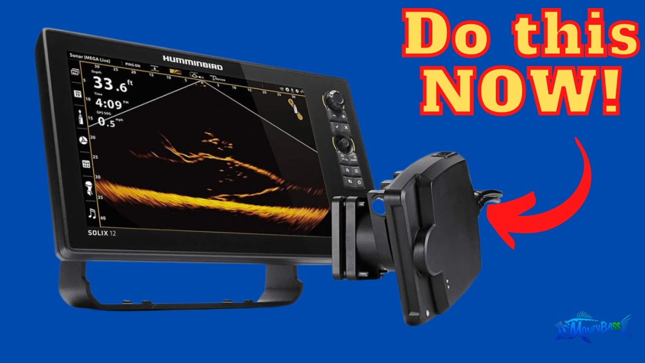 Mega Live Transducer SECRET that you must know to be successful! - YouTube