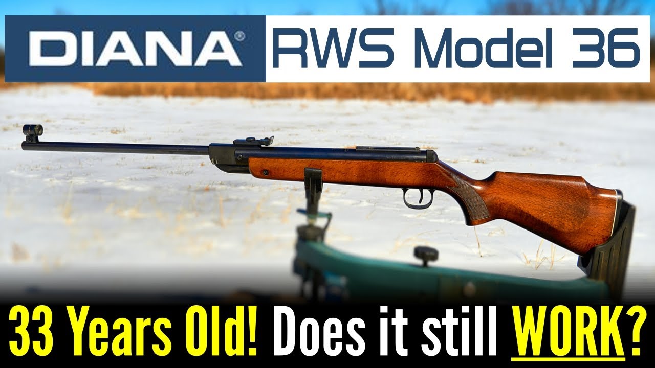 33 Year Old Diana RWS Model 36 Air Rifle. Does it still WORK? - YouTube