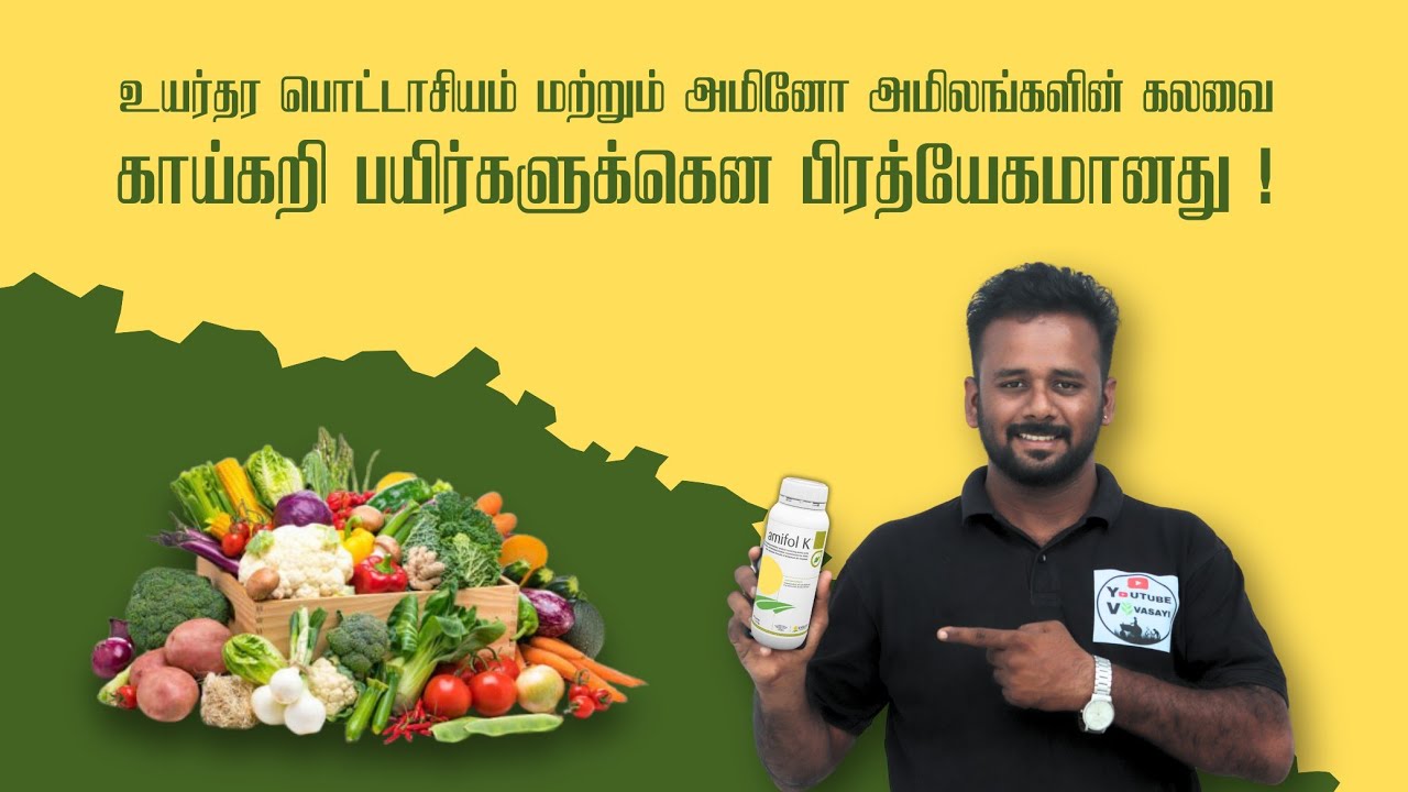 amifol K - potassium with amino acids for vegetables - பொட்டாசியம் ...