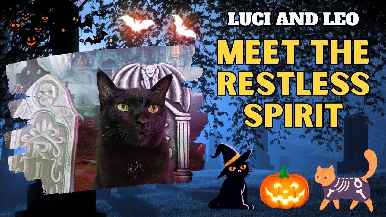 Luci and Leo Meet The Restless Spirit - YouTube