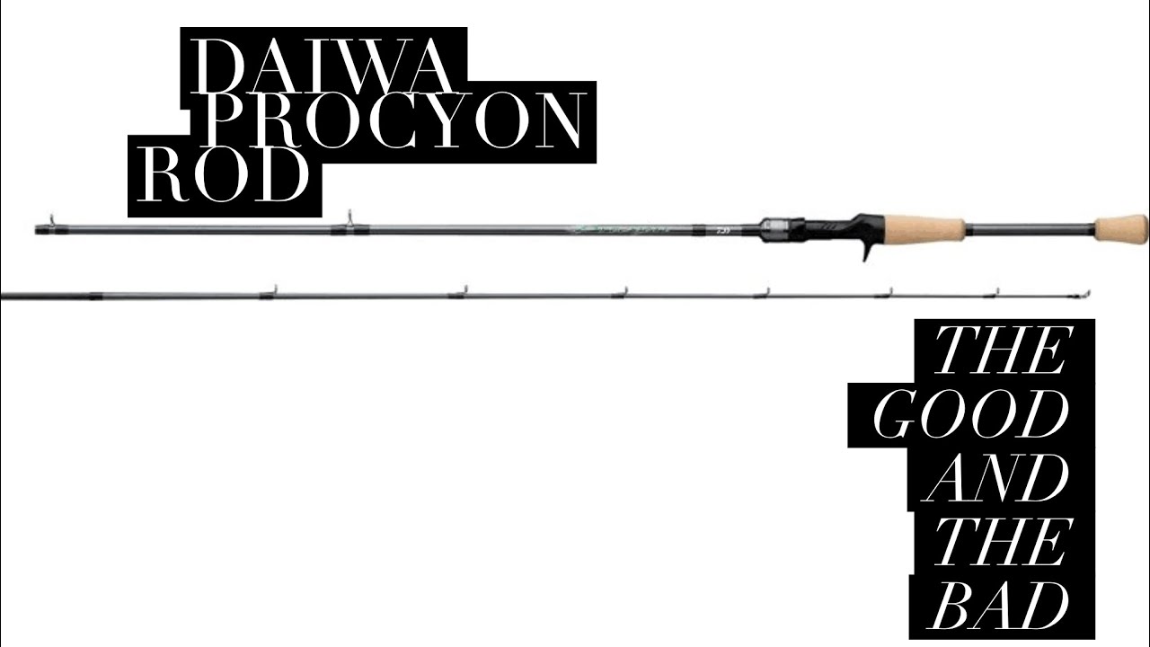 Daiwa Procyon Rod Review. Is it the best budget rod on the market ...