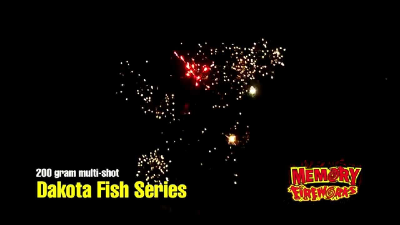 Dakota Fish - Memory Fireworks 200 gram multi-shot - YouTube